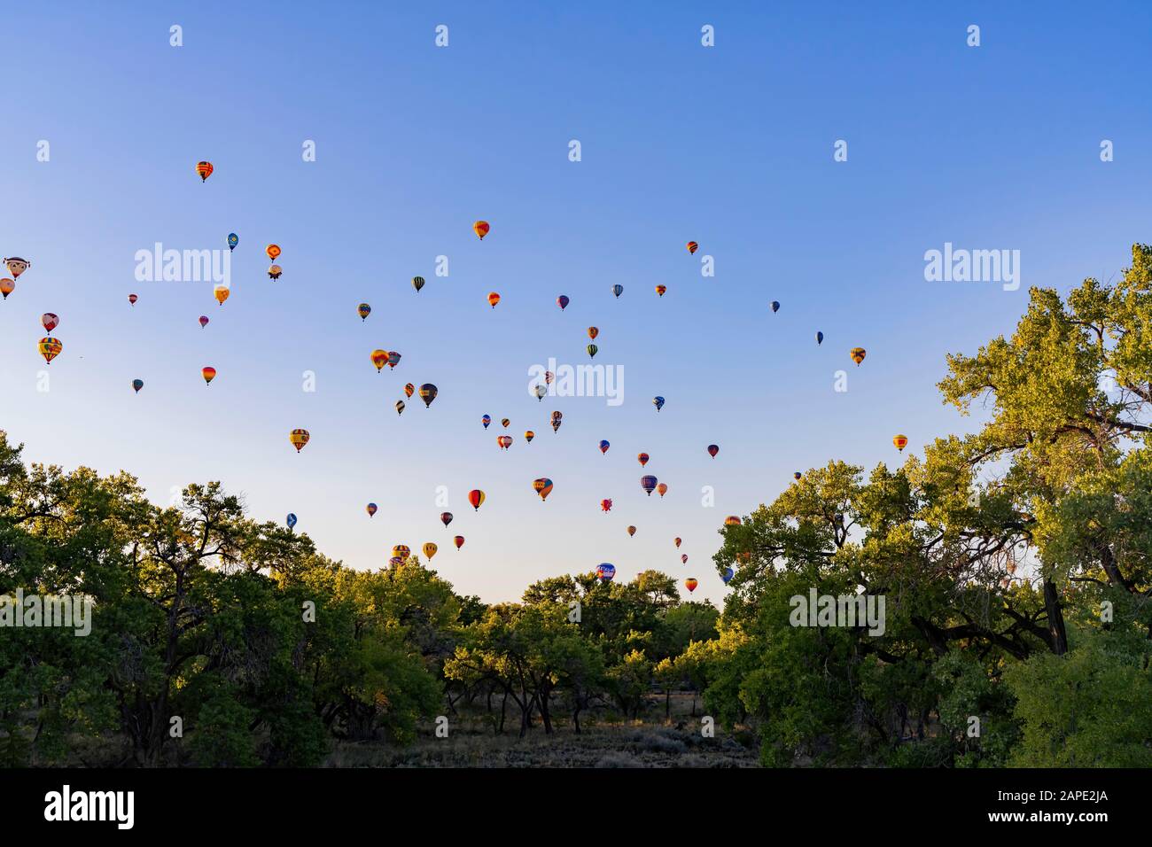 Morning view of the famous Albuquerque International Balloon Fiesta ...