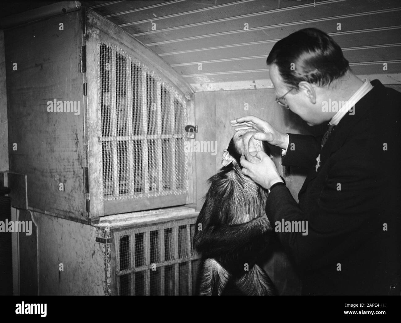 Veterinarian education Black and White Stock Photos & Images - Alamy
