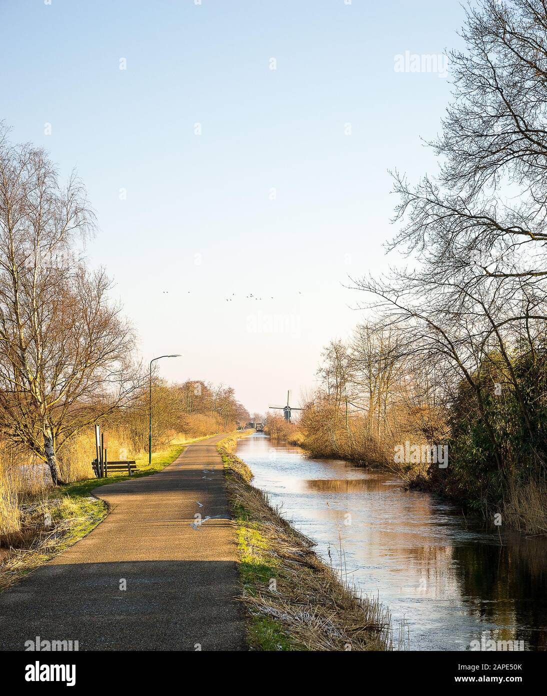Vertical shot pathway near hi-res stock photography and images - Alamy