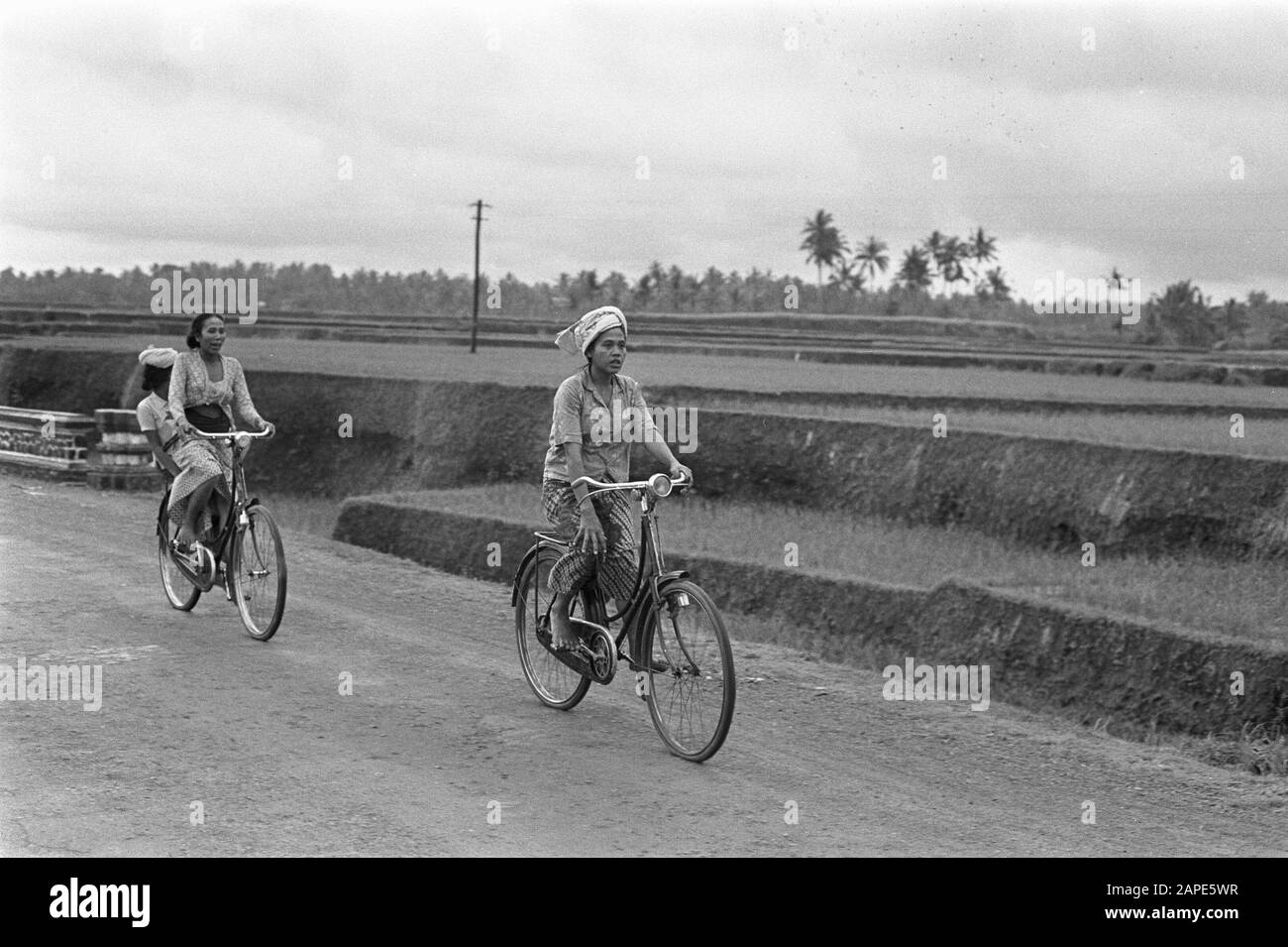 Bali (Indonesia), bike along rice fields Date: 9 September 1971 ...