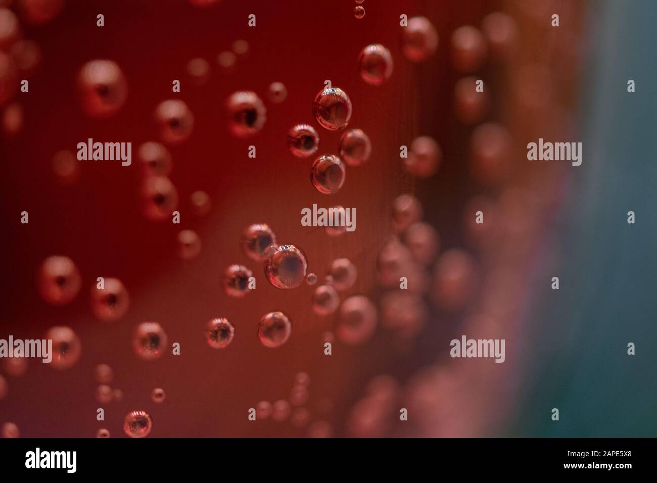 Closeup shot of red bubbles on a blurred background - great for cool ...