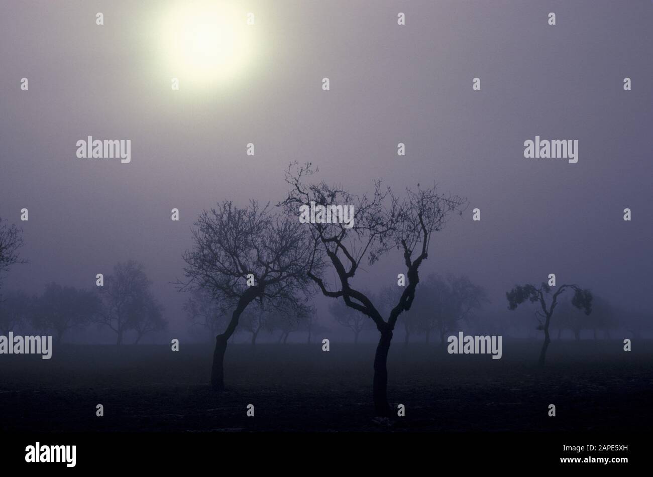 Luftverschmutzung - Air Pollution Stock Photo - Alamy