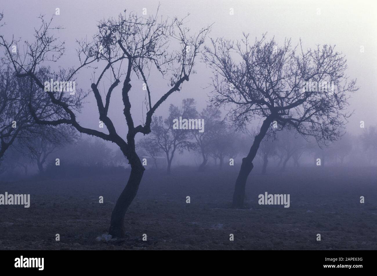 Luftverschmutzung - Air Pollution Stock Photo - Alamy