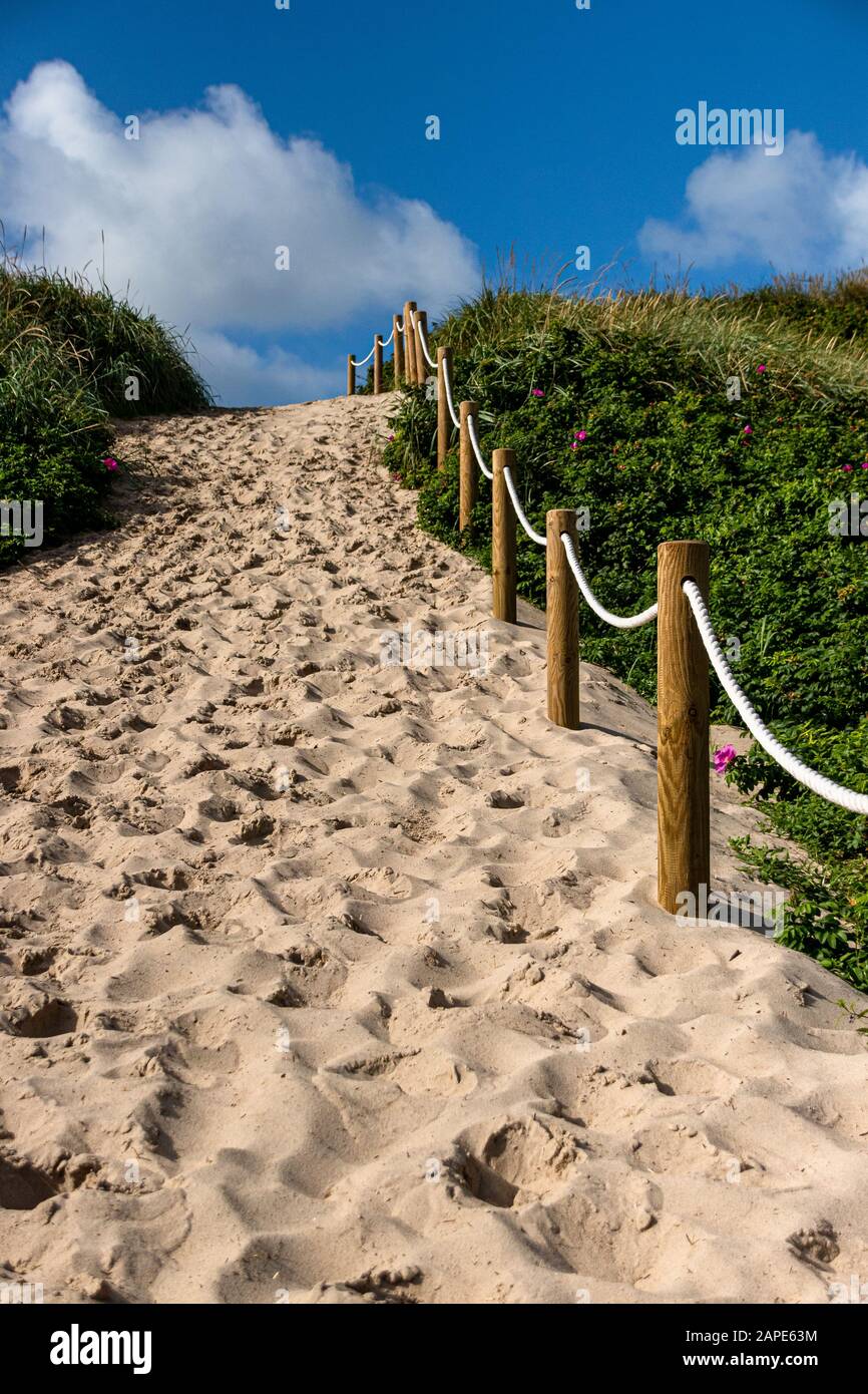 A wide angle photo of a sand path in the middle of the grass Stock ...