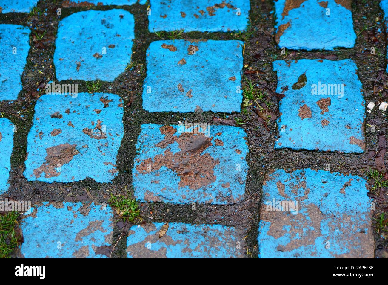 Wet blue cobblestone pathway Stock Photo - Alamy