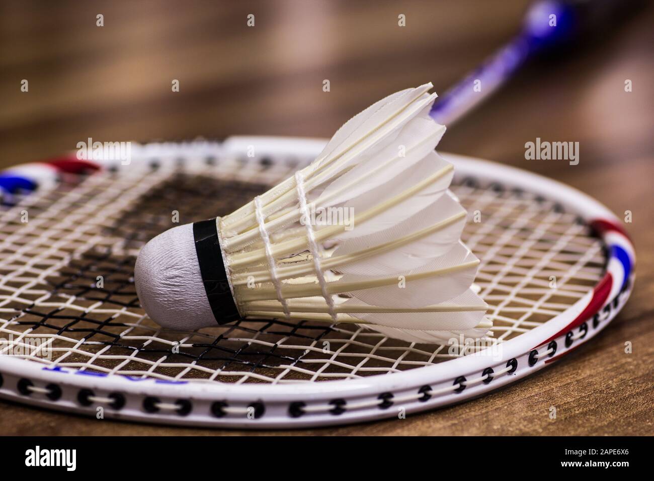 Badminton action vector racket fitness hi-res stock photography and ...