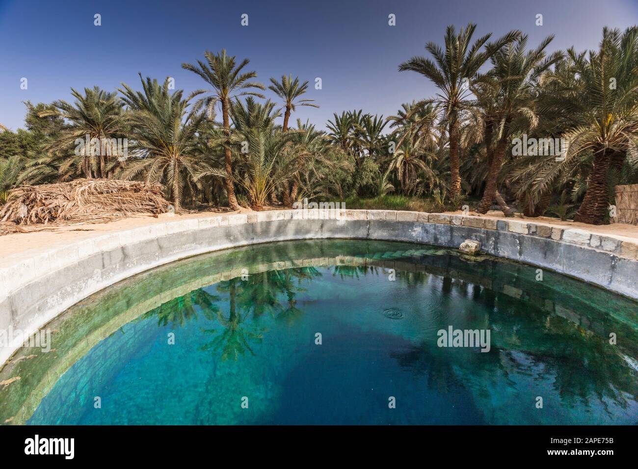 Cleopatra Bath High Resolution Stock Photography and Images - Alamy