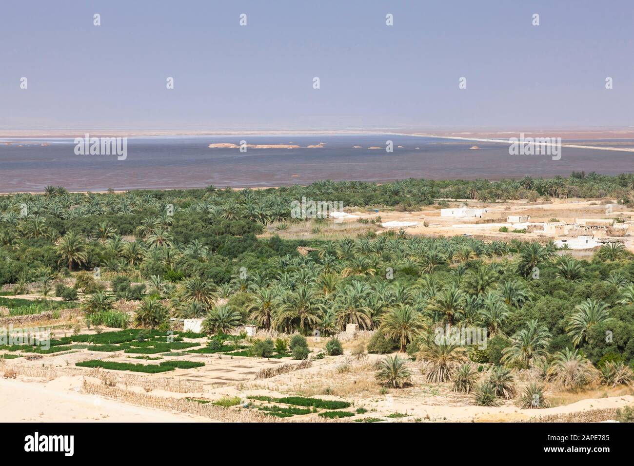 Siwa oasis hi-res stock photography and images - Alamy