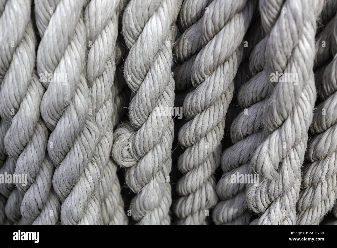 Closeup of white ropes under the lights - a cool picture for ...