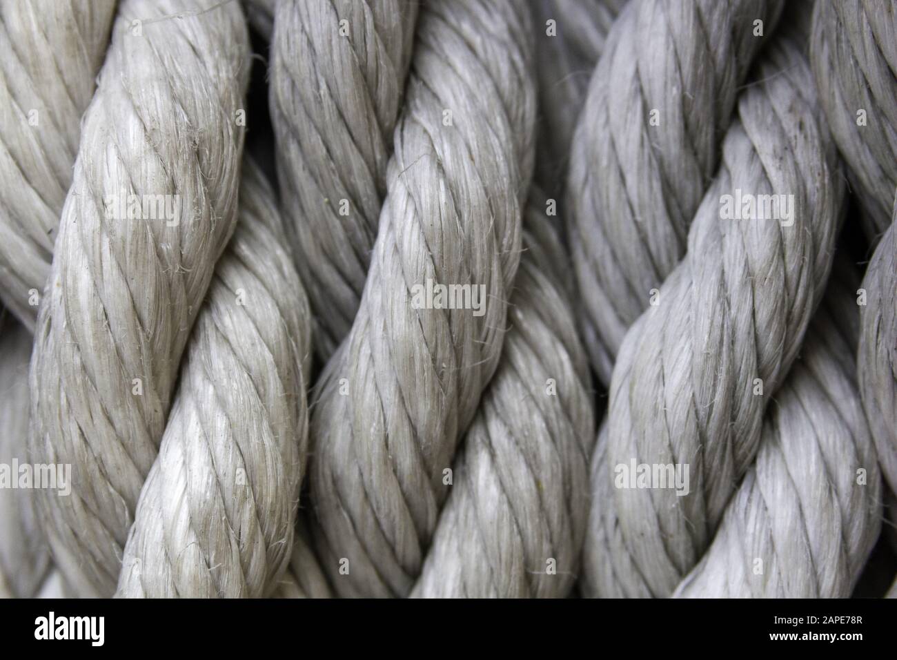 Closeup of white ropes under the lights - a cool picture for ...