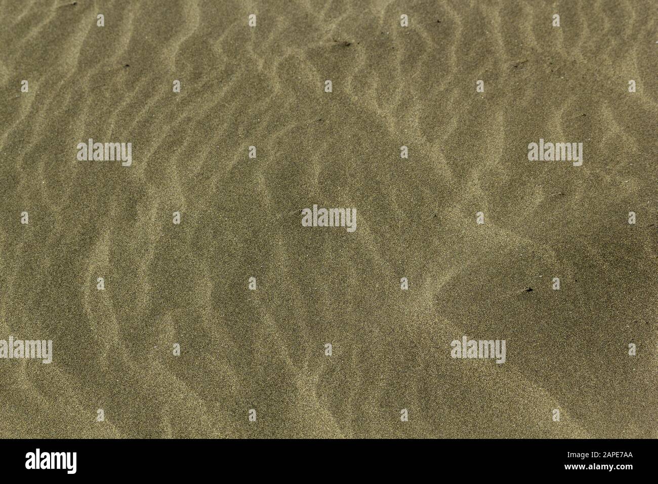 Closeup of sand in the beach under the sunlight - a nice picture for ...