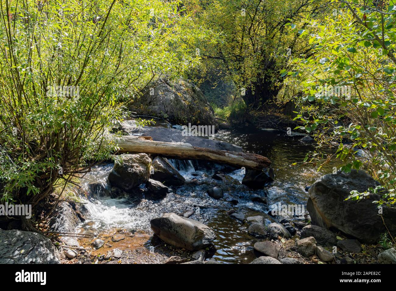 Beautiful landscape of Spence Hot Springs at New Mexico Stock Photo - Alamy