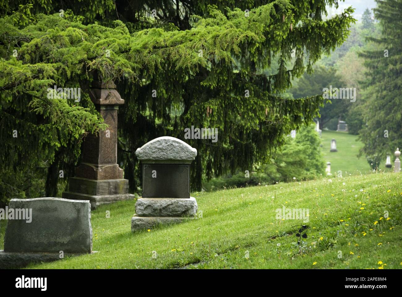 Graveyard surrounded trees on hi-res stock photography and images - Alamy
