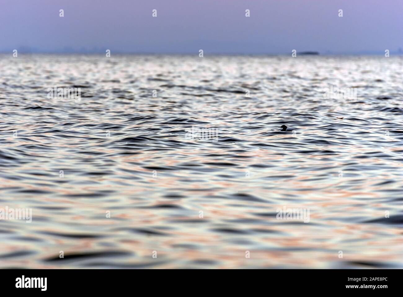 Still shot ocean bay people hi-res stock photography and images - Alamy