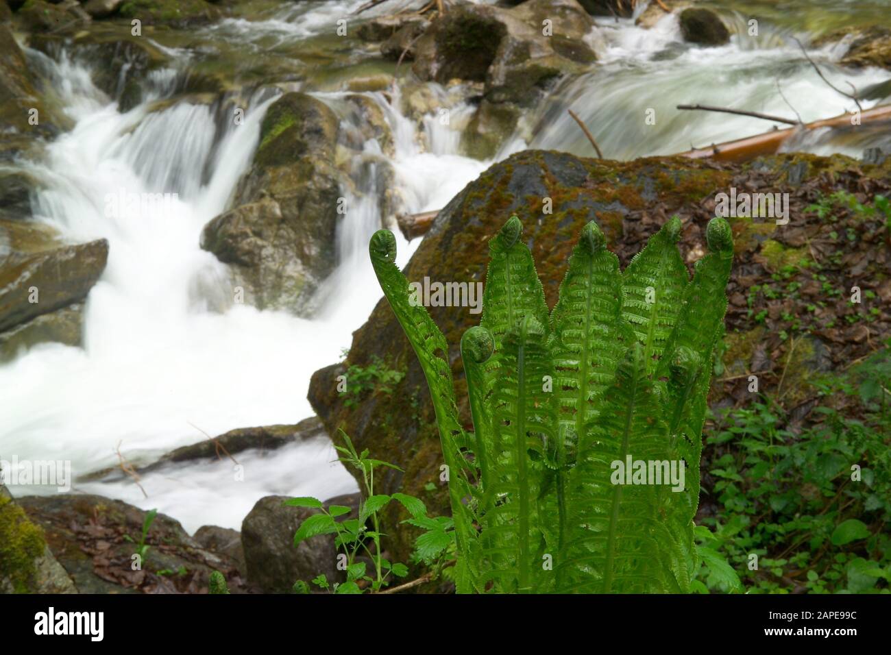 Sauberes Wasser - Fresh and Clean Water Stock Photo - Alamy