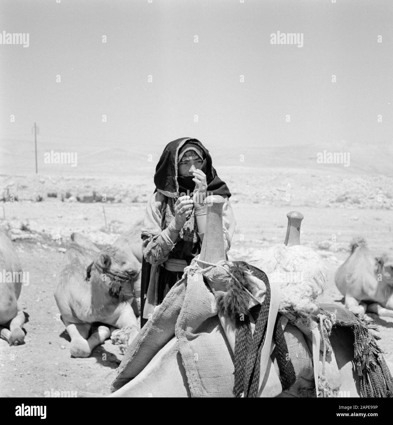 Israel 1960-1965: Negev Desert, Bedouin Description: Bedouin Woman in ...