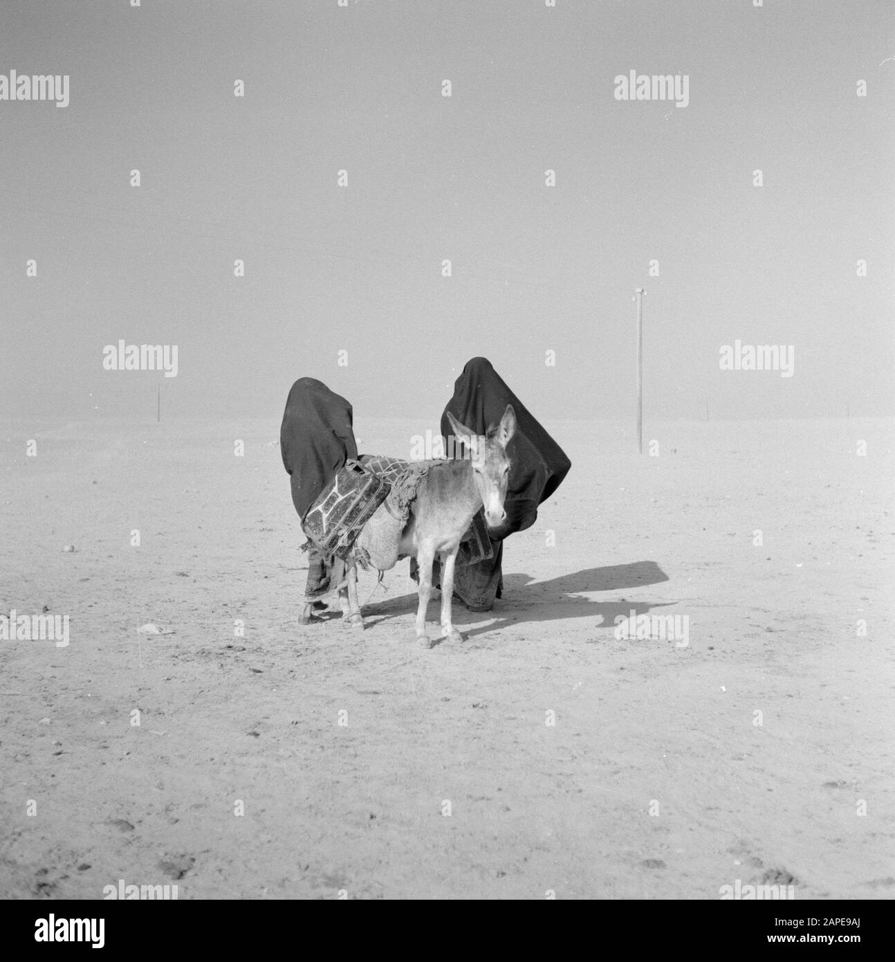 Israel 1960-1965: Negev Desert, Bedouin Description: Bedouin women in ...