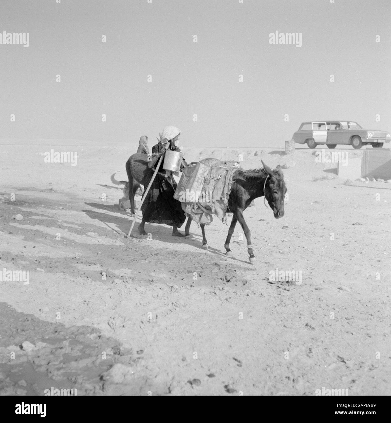 Israel 1960-1965: Negev Desert, Bedouin Description: Bedouin women draw ...