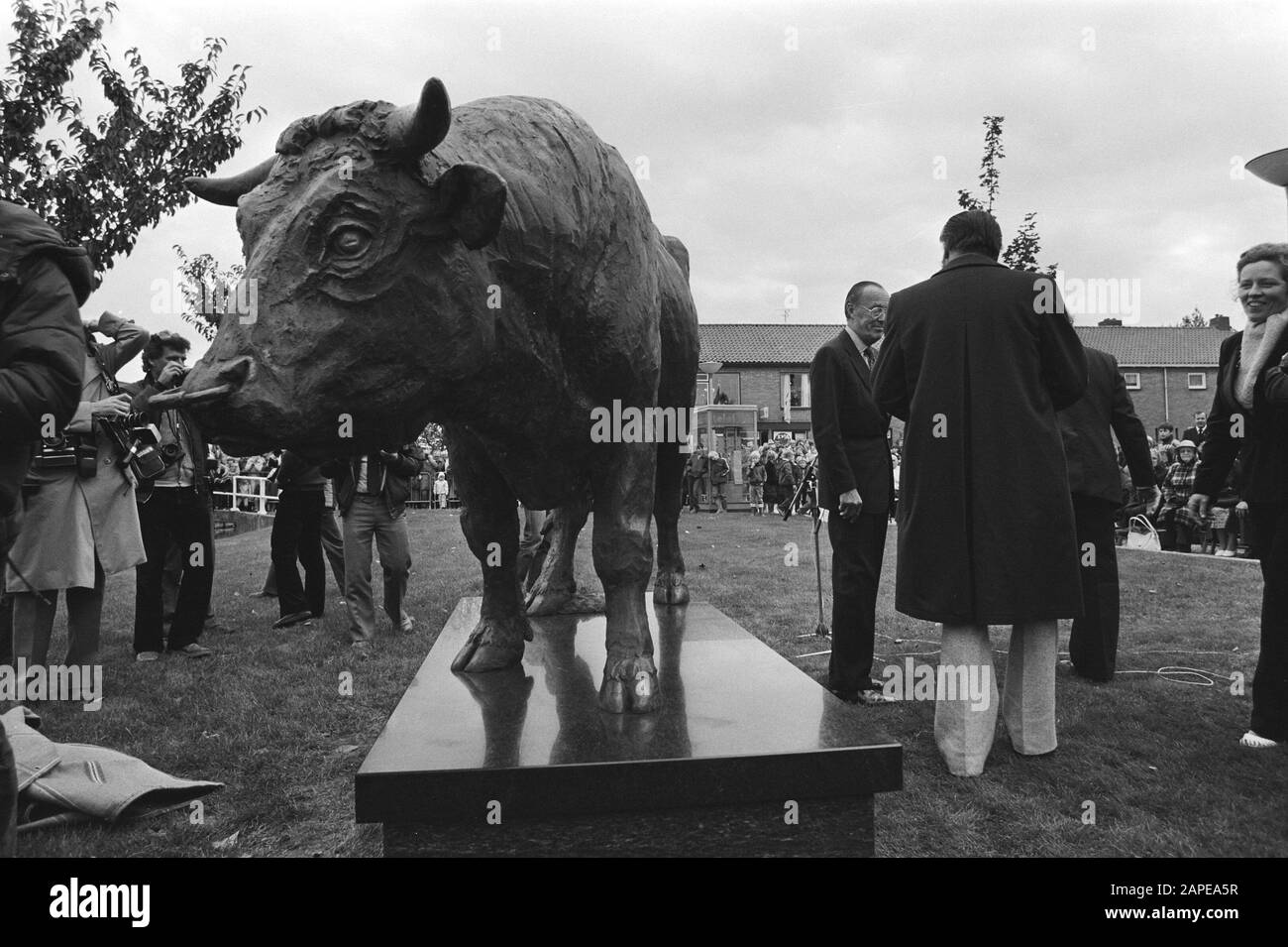 Bull dirk iv hi-res stock photography and images - Alamy