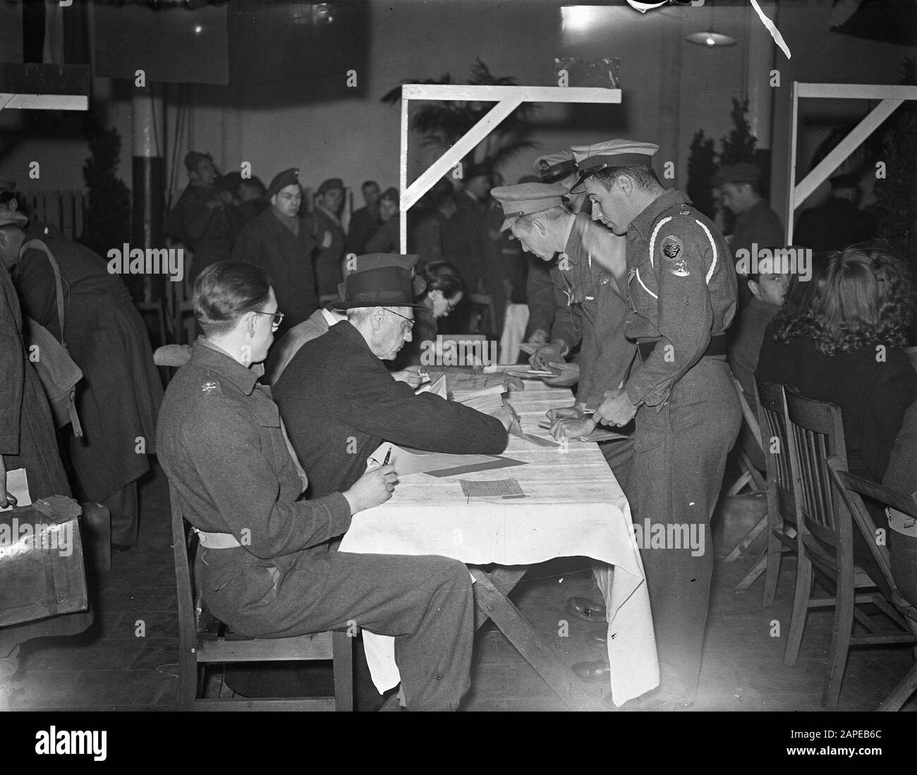 Groote beer hi-res stock photography and images - Alamy