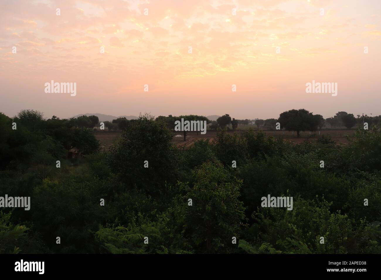 Blazing summer sun hi-res stock photography and images - Alamy