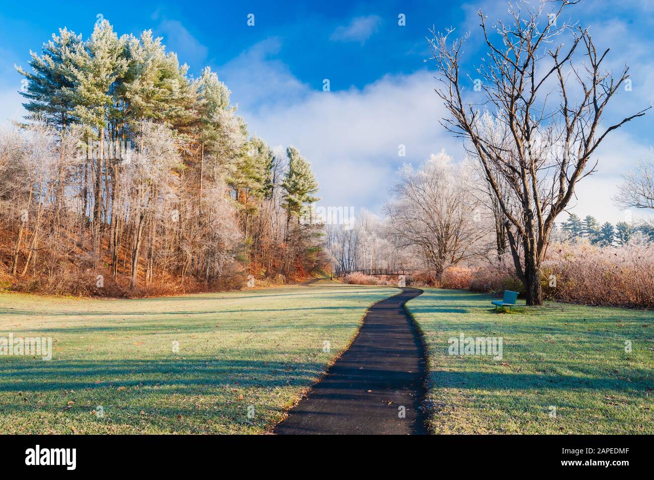 Stowe Recreation Path on a cold frosty autumn morning in Stowe Vermont ...
