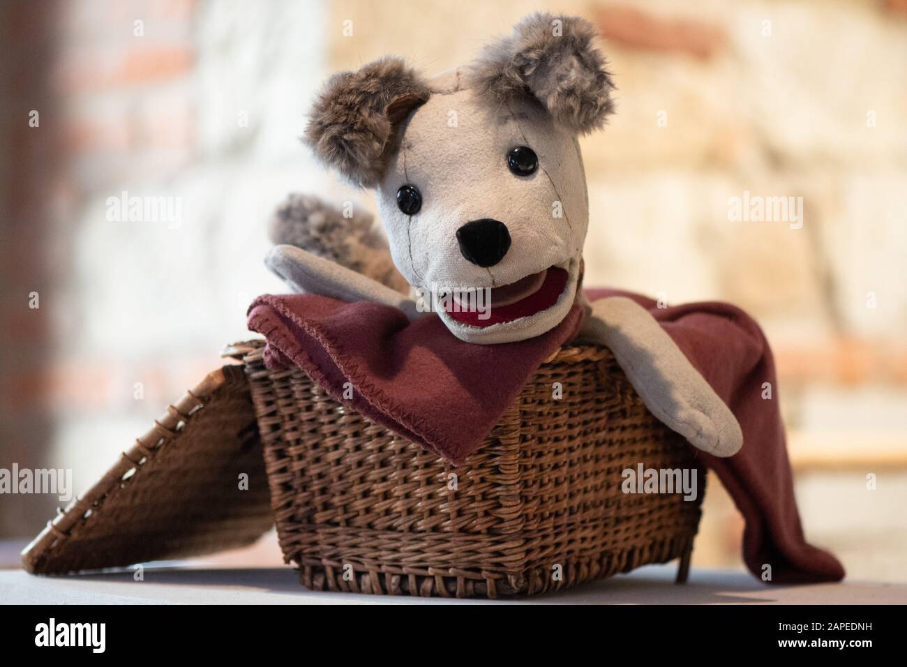 Pirna, Germany. 21st Jan, 2020. The hand puppet Struppi, a GDR children ...
