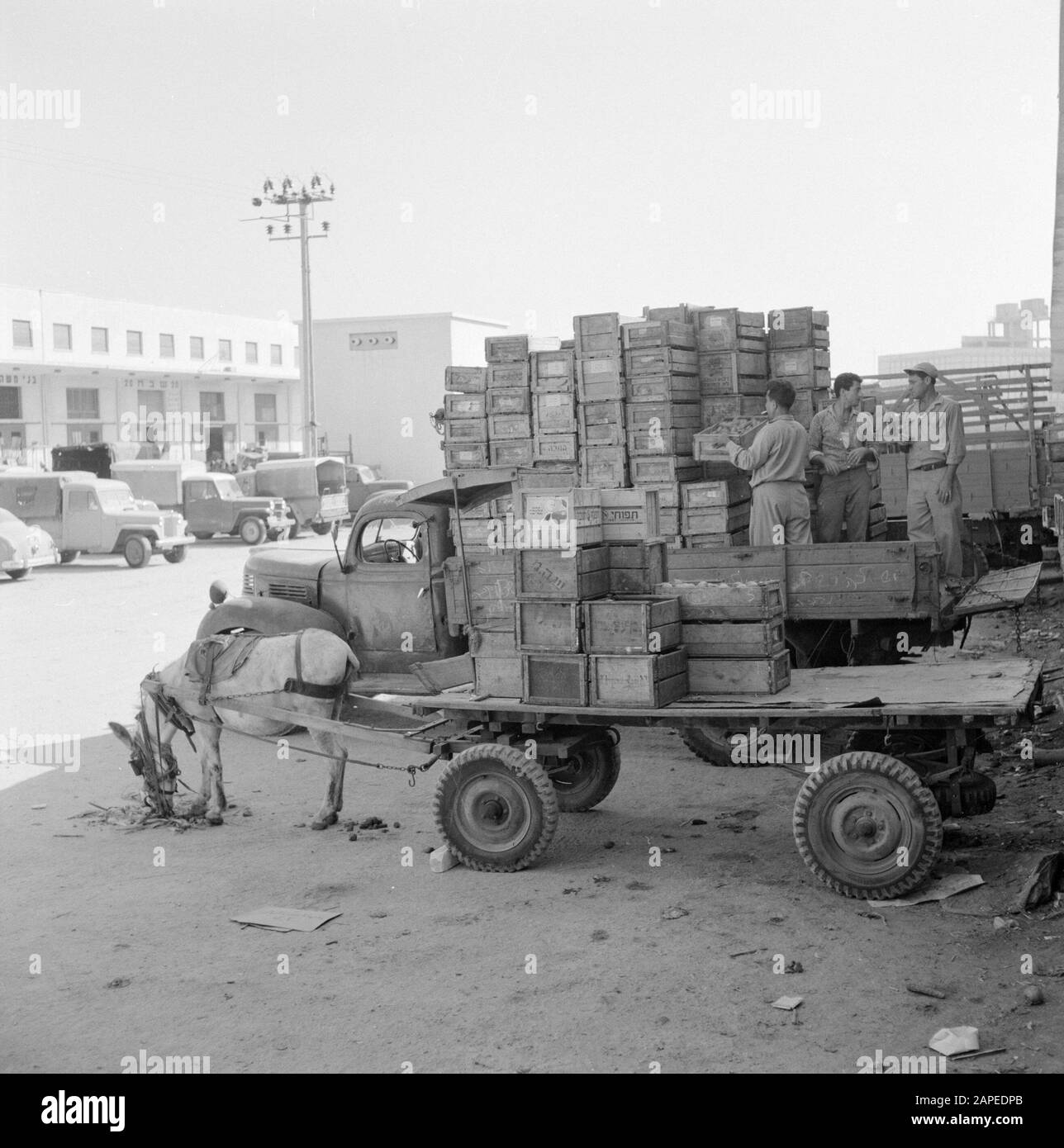 Freight loaded donkey hi-res stock photography and images - Alamy