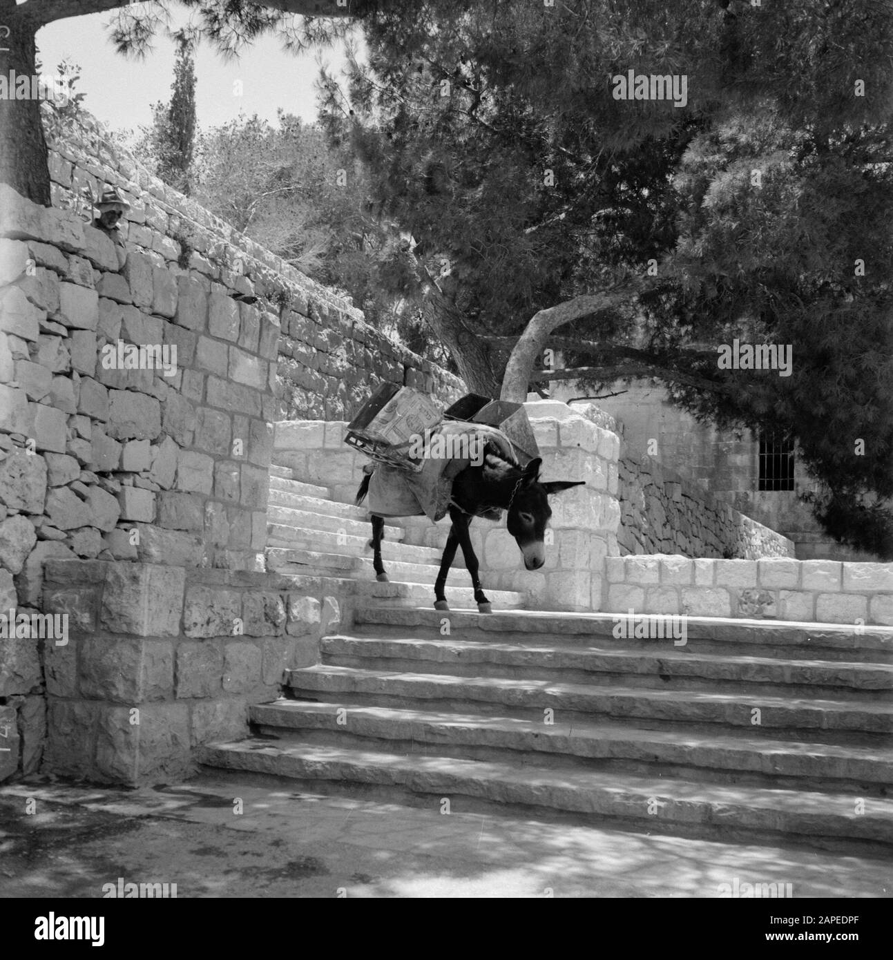 Loaded donkey on a staircase laid against a hill Date: January 1, 1964 ...