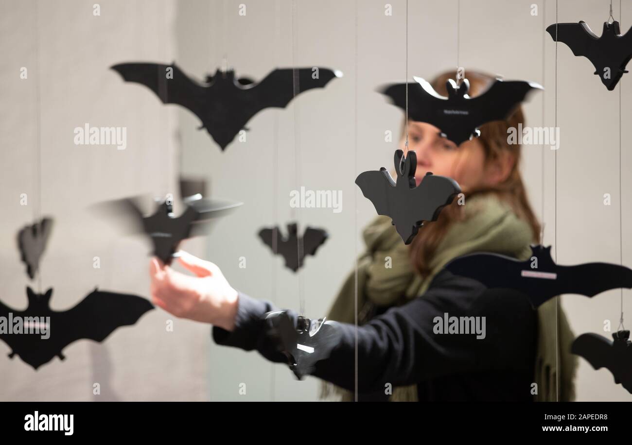 22 January 2020, Lower Saxony, Osnabrück: Models of the different ...