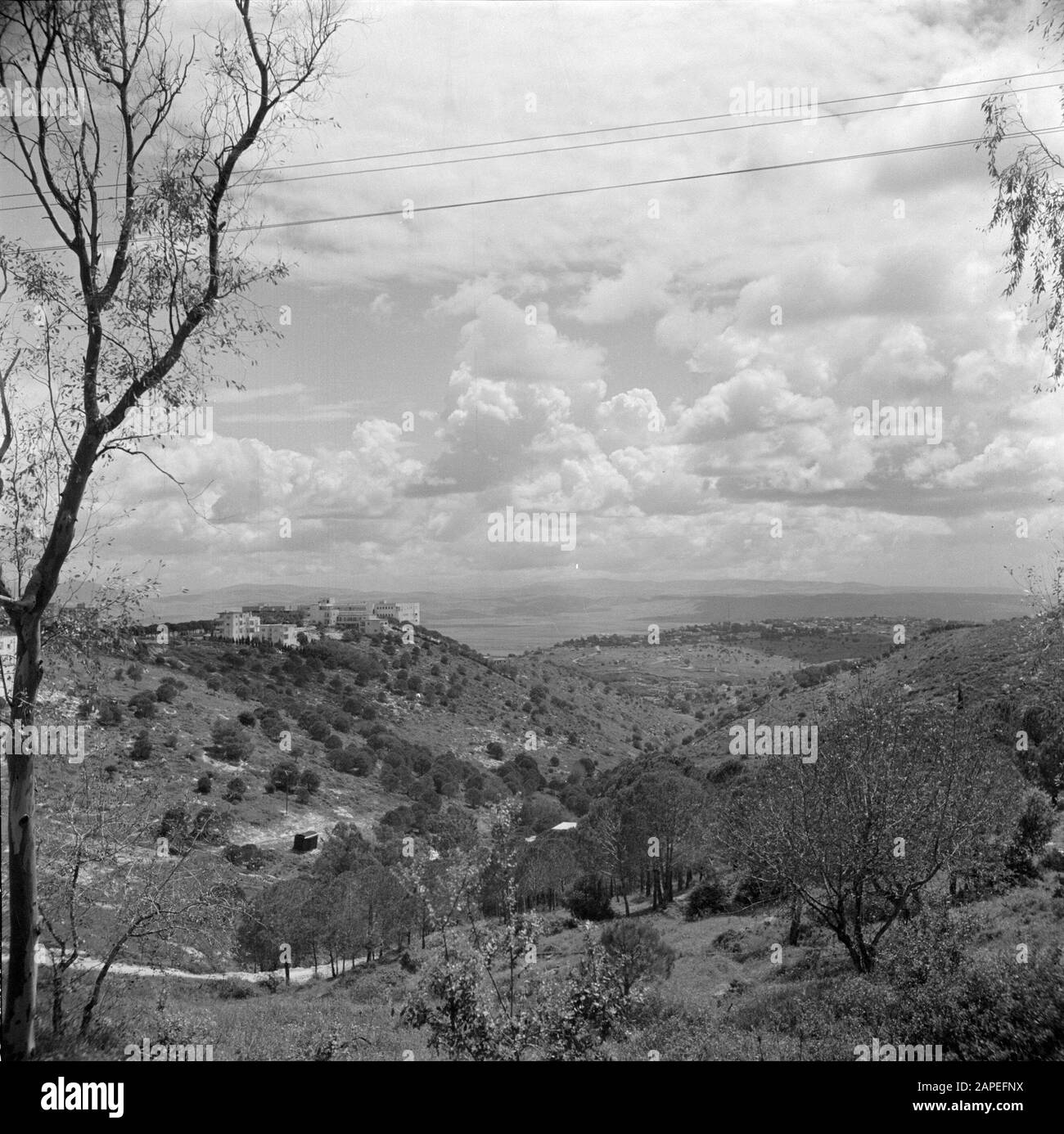 Israel 1948-1949: Haifa Description: Mountains around the city, seen ...