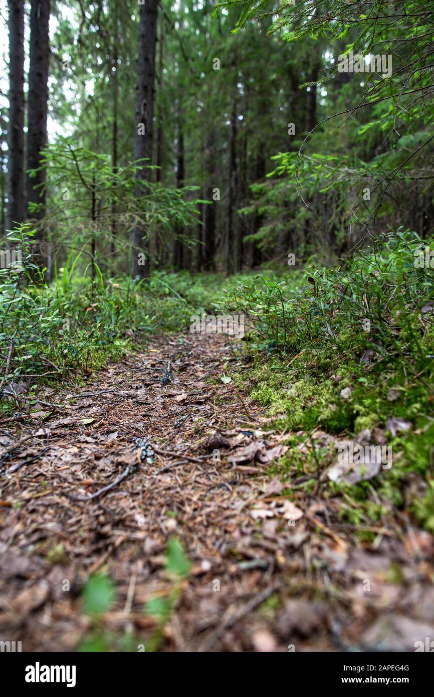 Winding trail hi-res stock photography and images - Alamy