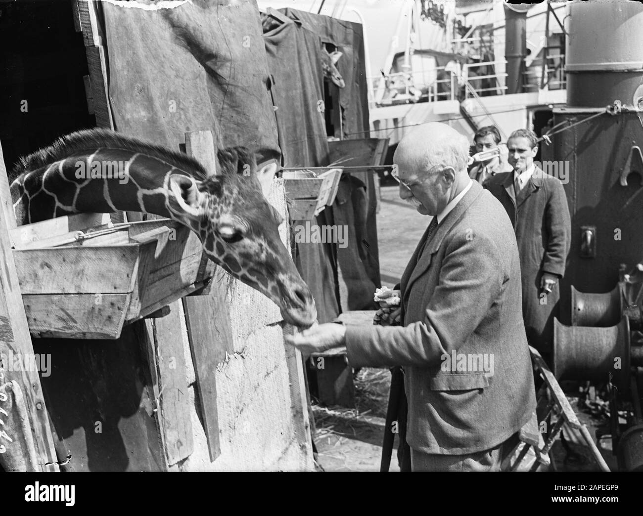 Arrival animals for Artis at Rotterdam Date: 14 July 1948 Location ...