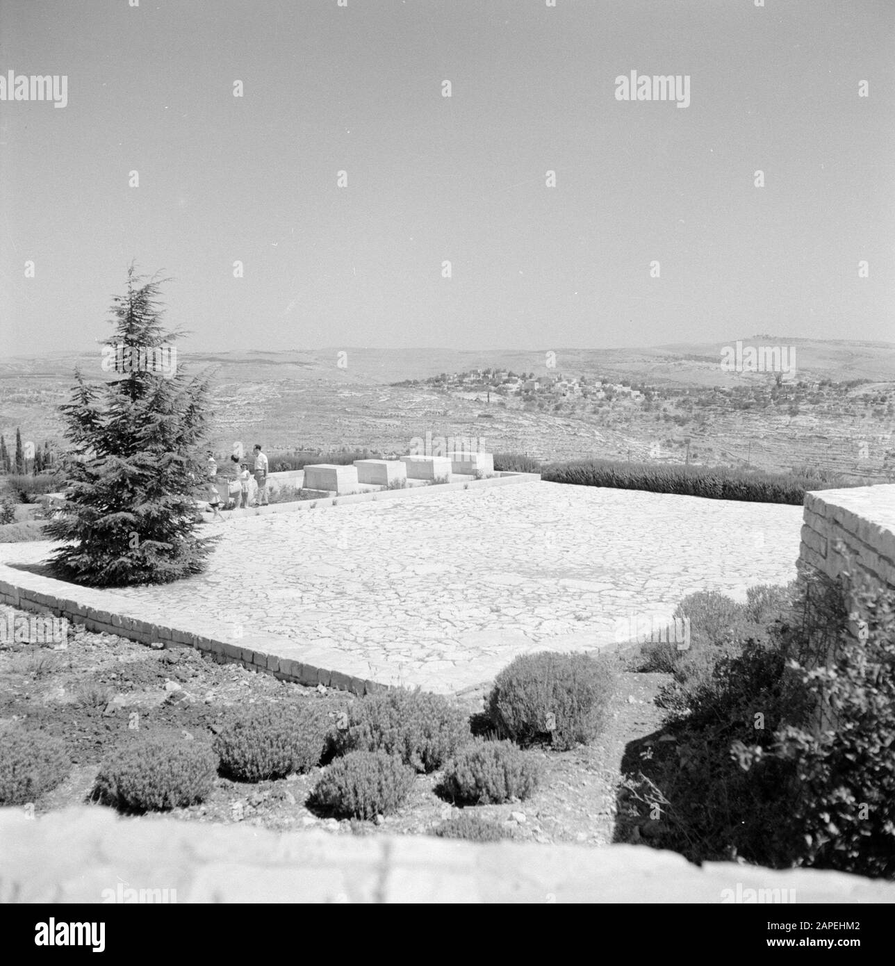 Cedar tree cemetery Black and White Stock Photos & Images - Alamy