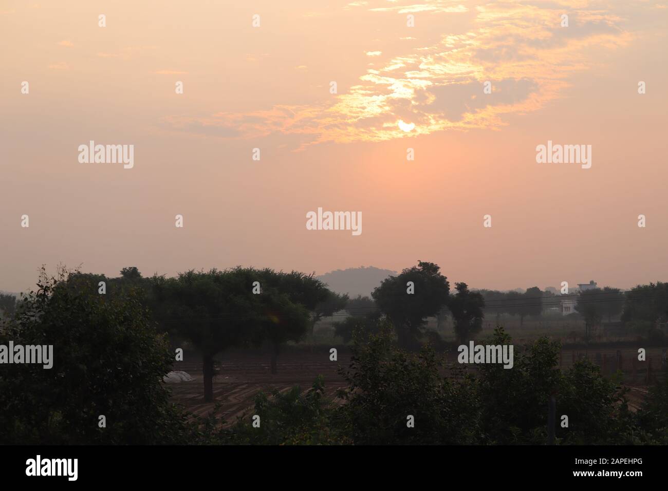 Landscape, sunny dawn in a field Stock Photo - Alamy