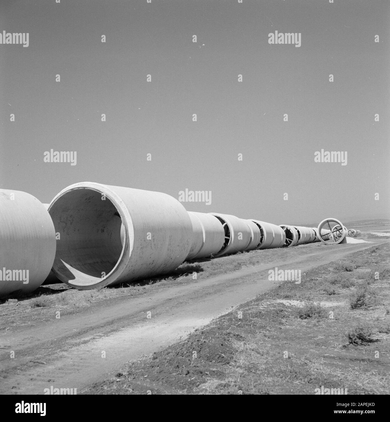 irrigation project in the plain of Jezreel. Pipes along the road for ...