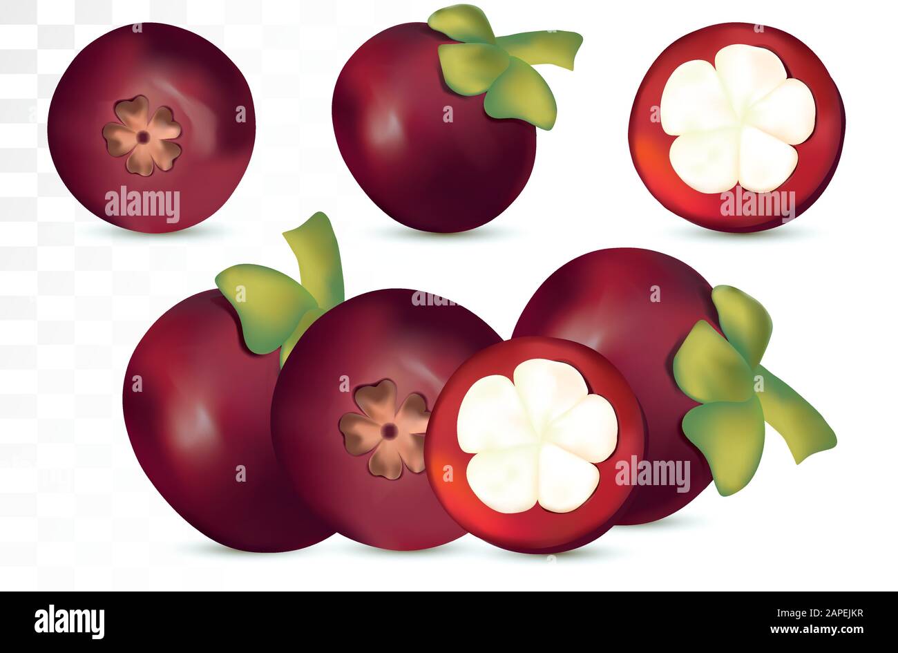 Collection fresh Mangosteen on transparent background. 3D realistic ...