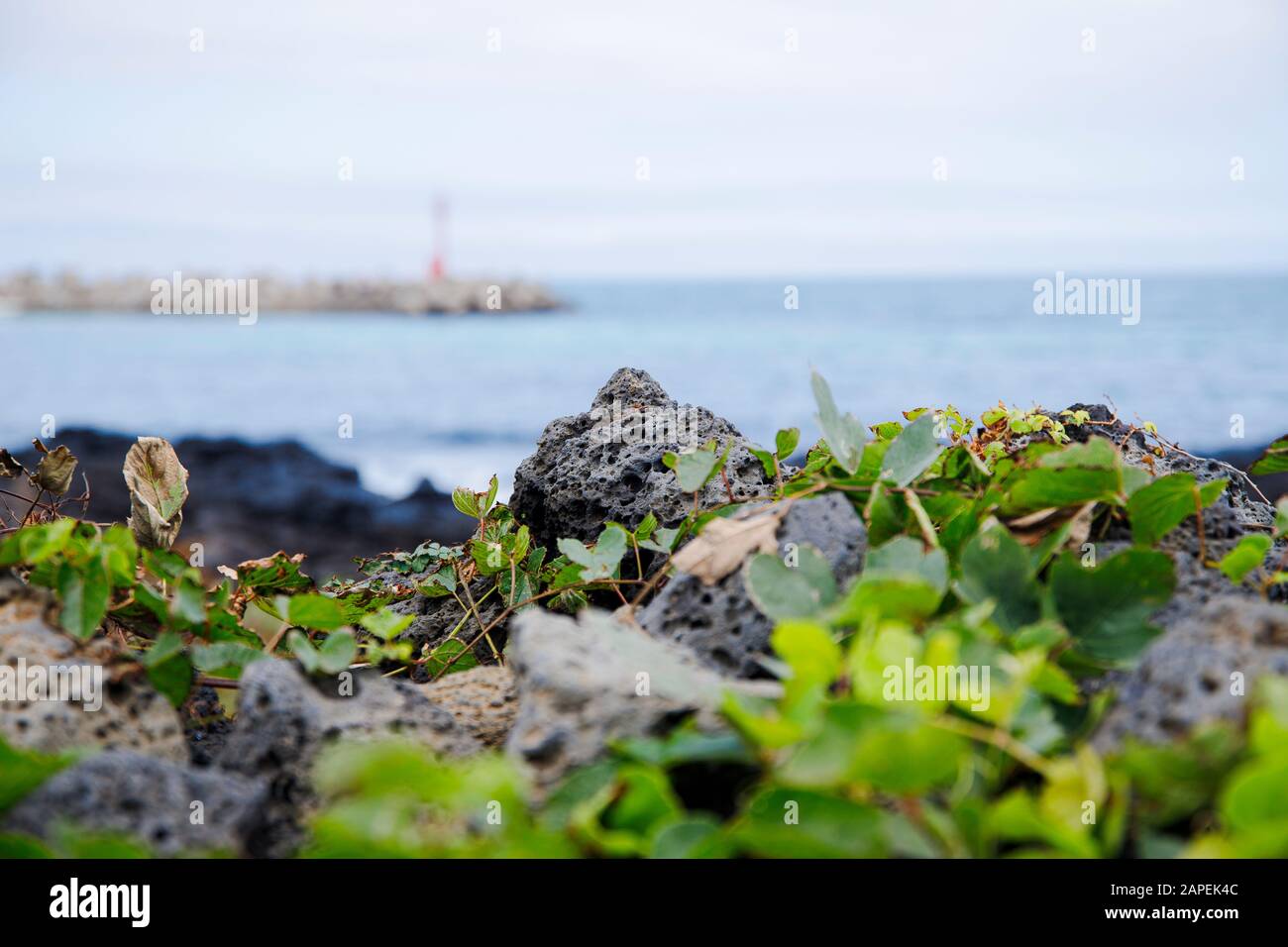 Beautiful scenery jeju island jejudo hi-res stock photography and ...