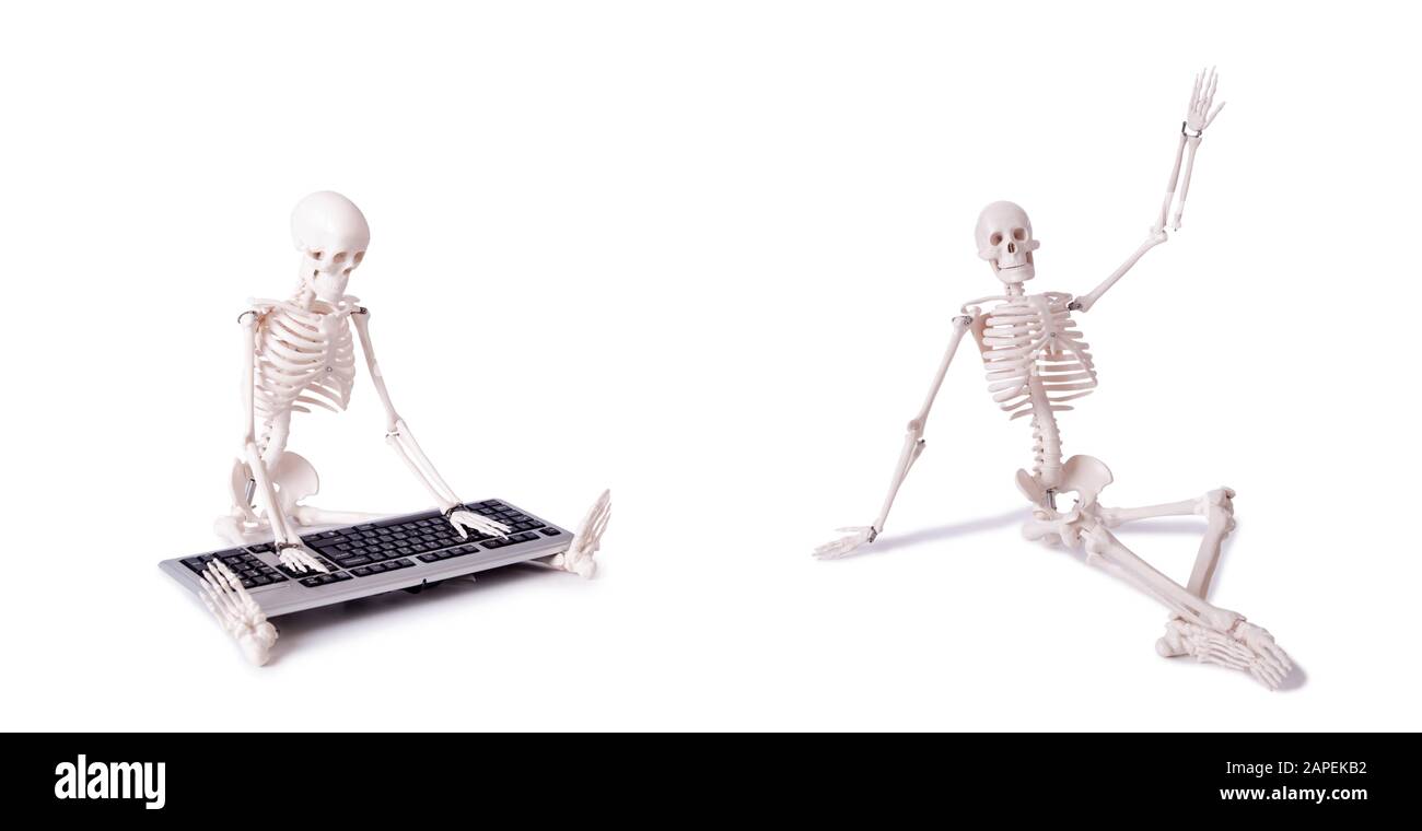 The funny skeleton working on computer Stock Photo - Alamy