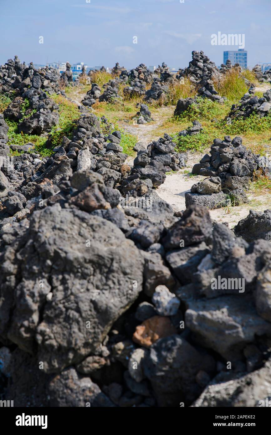 Beautiful island landscape of Jeju, Korea 011 Stock Photo - Alamy