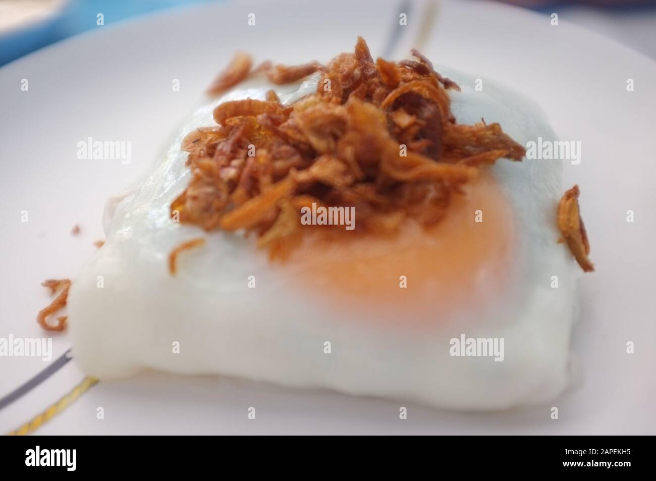 Steamed rice-skin dumplings with egg or vietnamese steamed rice noodle ...