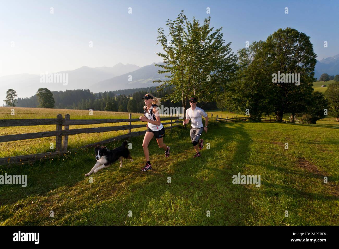 Trailrunnning hi-res stock photography and images - Alamy
