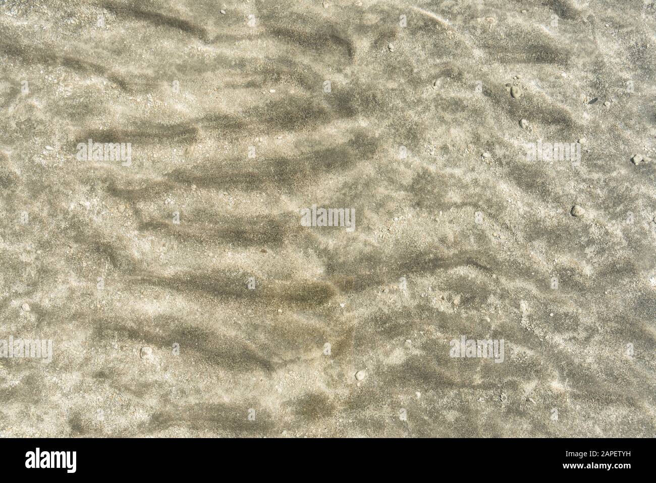 Transparent water surface and sand on the lake bottom Stock Photo - Alamy