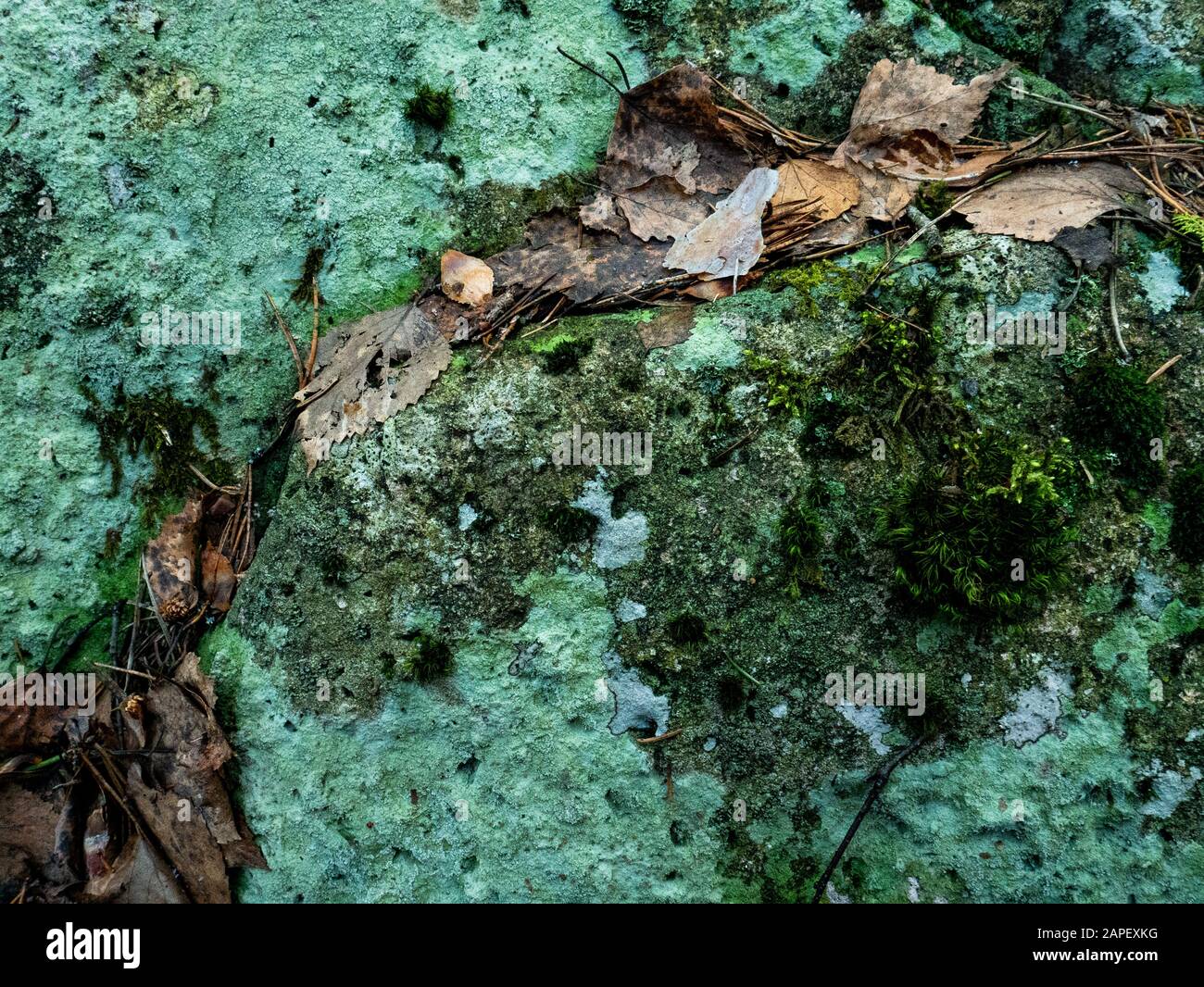 Beautiful colorful texture of natural stone Stock Photo - Alamy