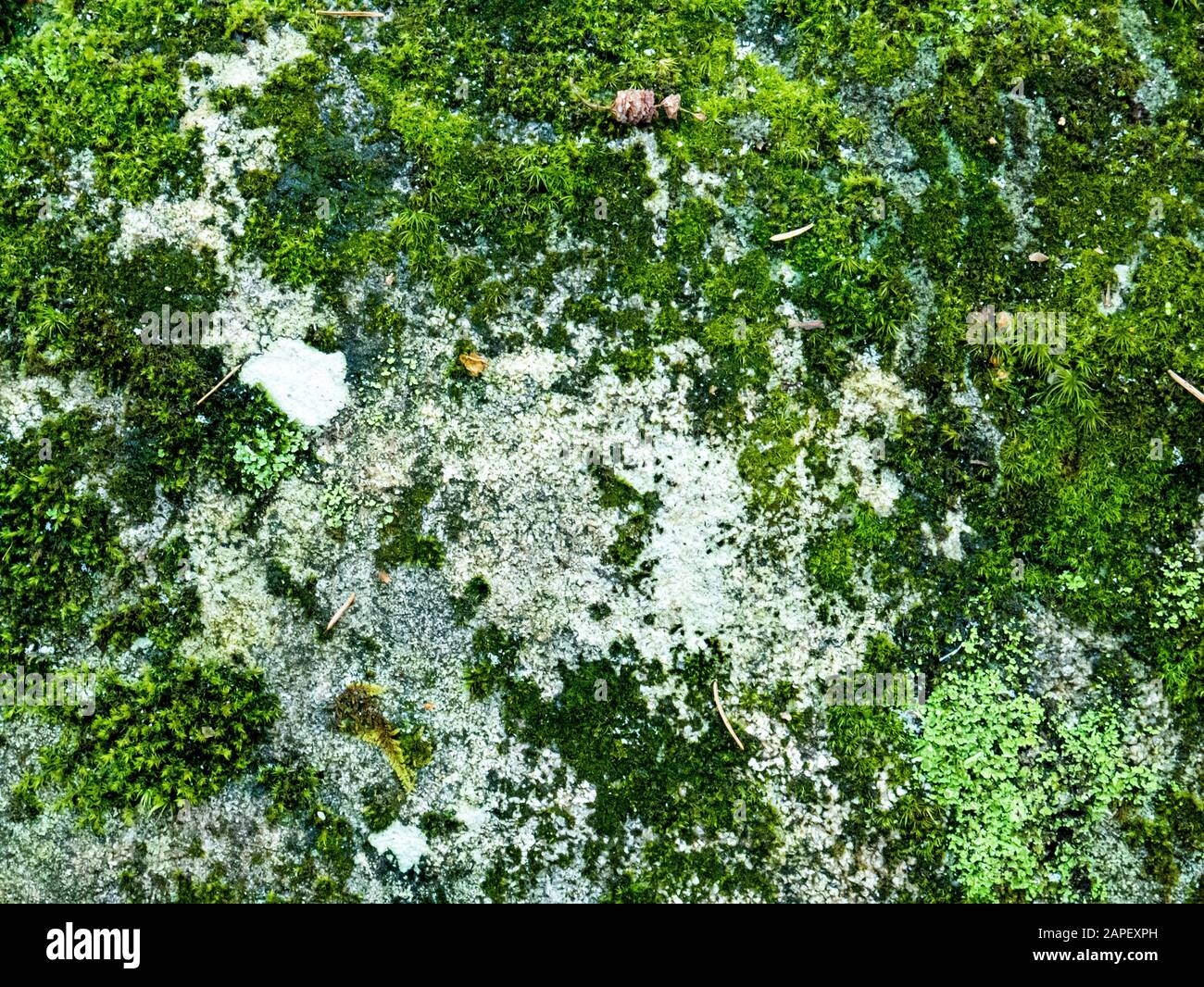 Beautiful colorful texture of natural stone Stock Photo - Alamy
