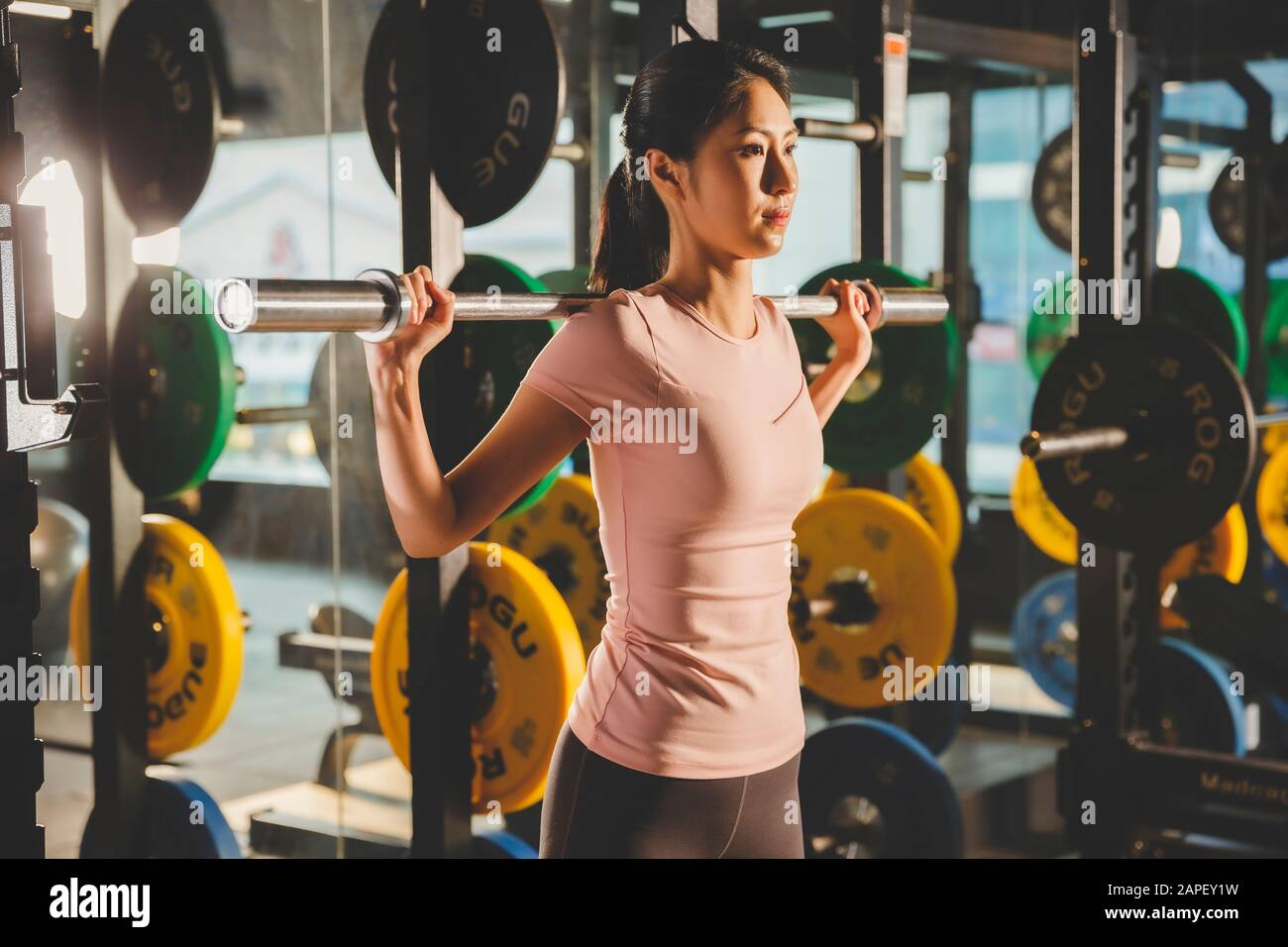 Male and female exercising in gym. Sport, fitness, weightlifting and ...