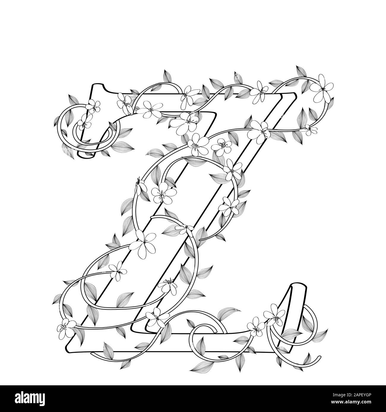 Letter Z floral sketch over white background Stock Vector Image & Art ...