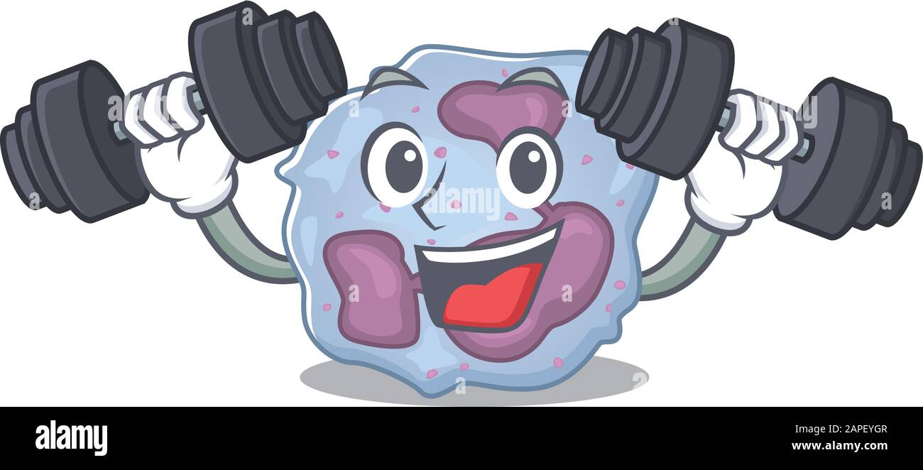 Sporty Fitness exercise leukocyte cell using barbells Stock Vector ...