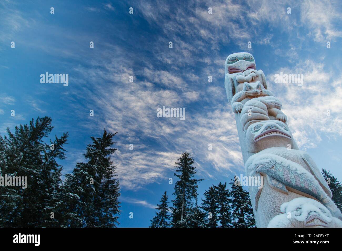 A snowy and frost-covered totem pole in front of tall spruce trees and ...