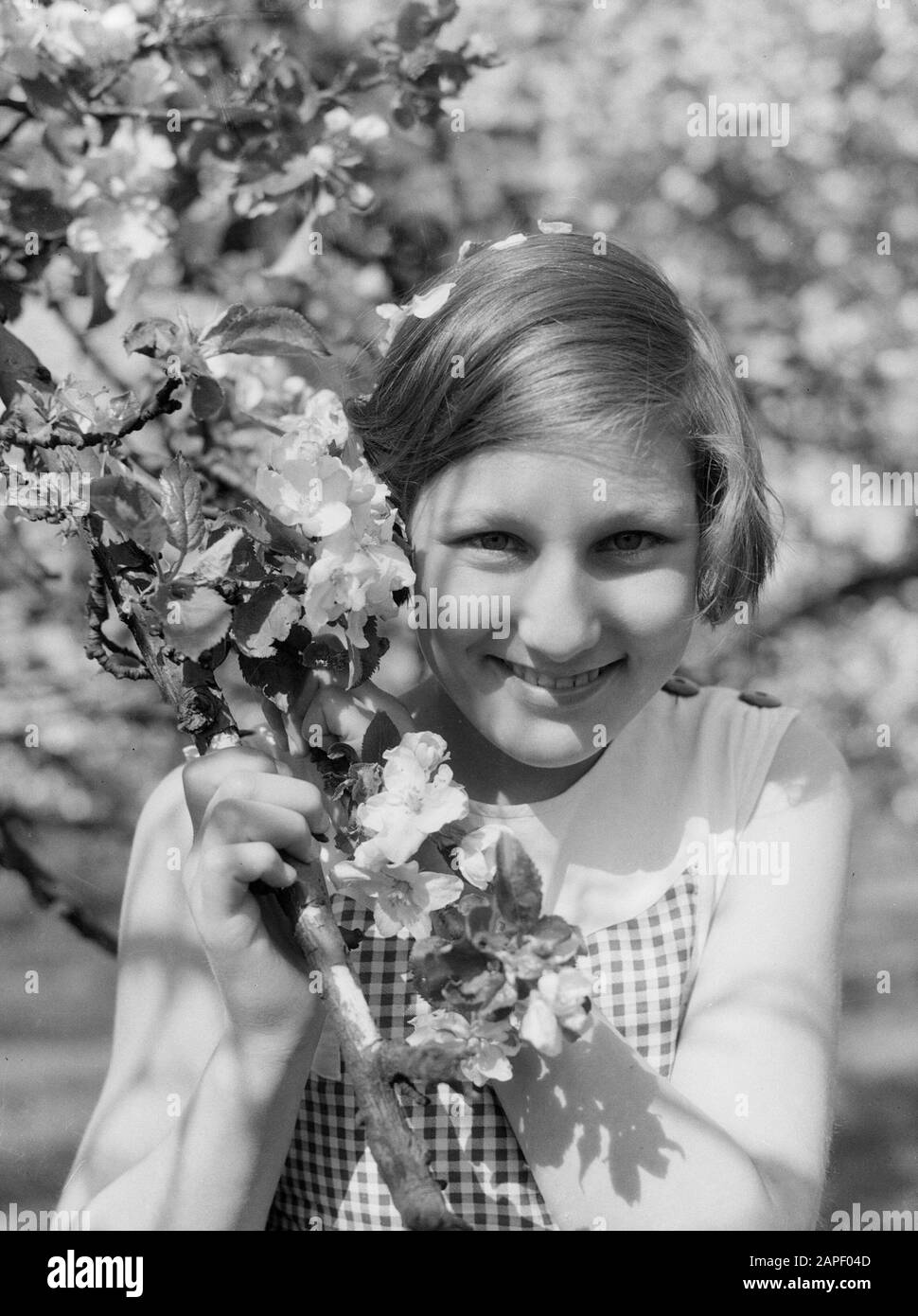 Flowering fruit tree branch in Black and White Stock Photos & Images ...